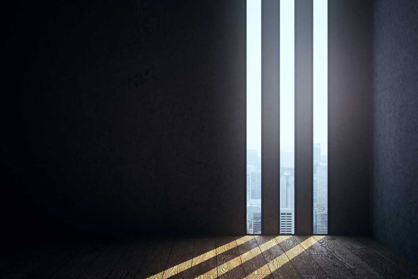 Search far beyond the obvious | Marlin Hawk